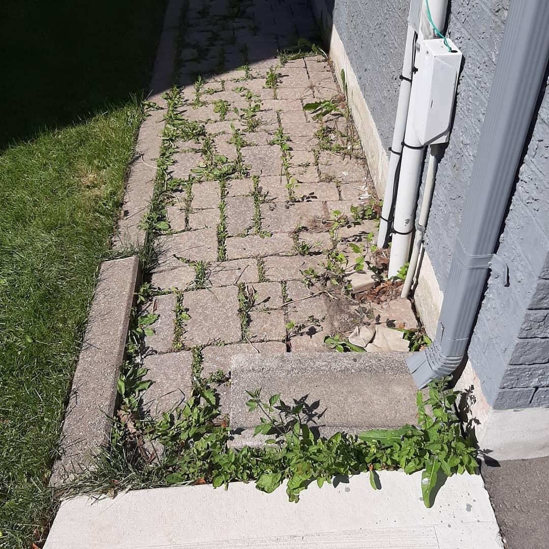 Highly Handy - Home Care Services